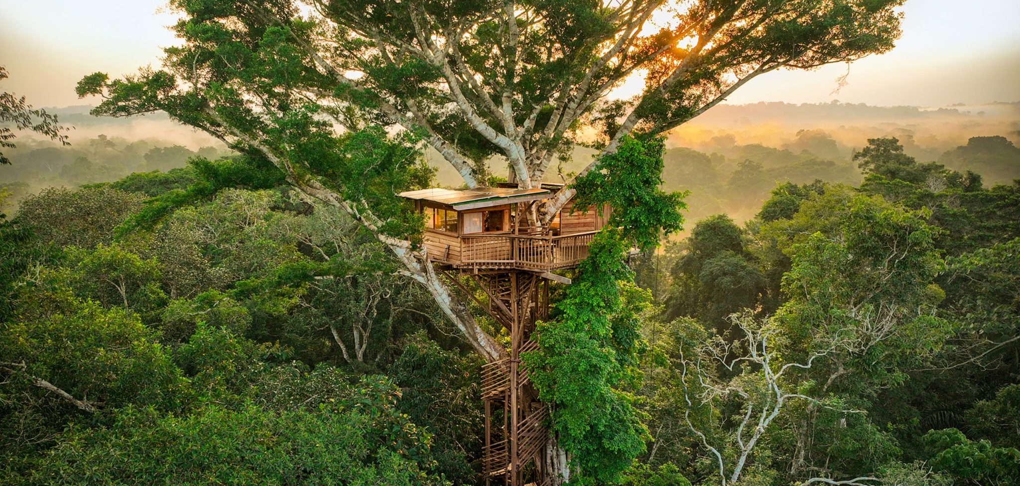 Back to Nature - Bal Harbour Shops