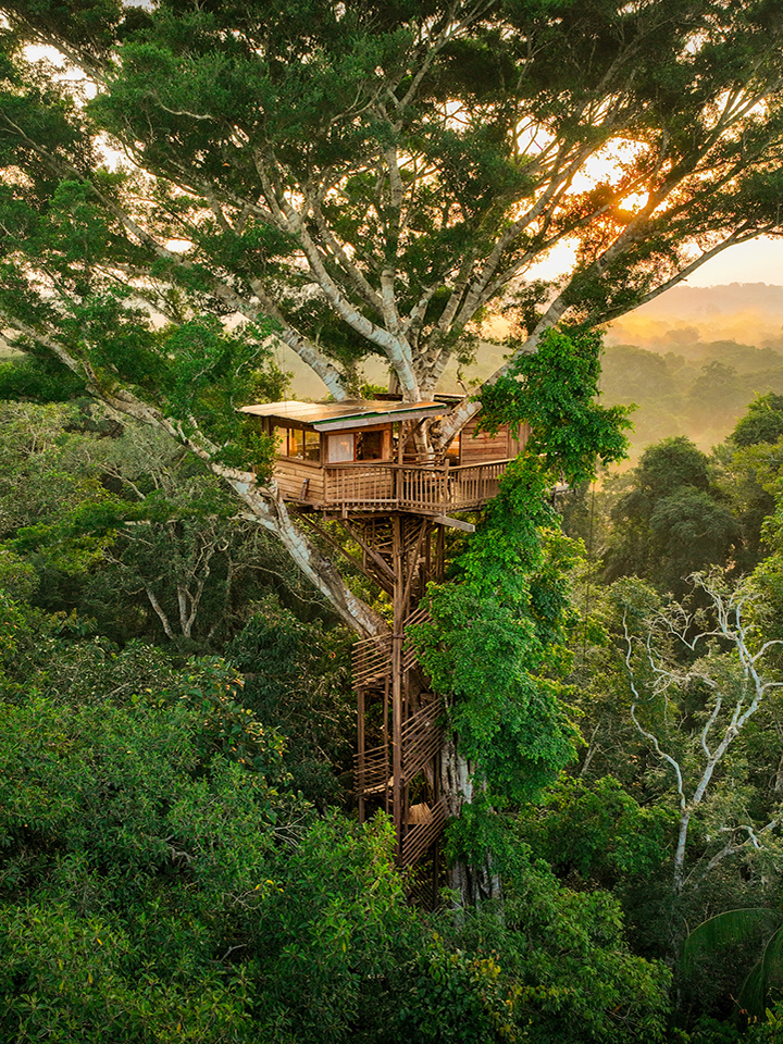Back to Nature - Bal Harbour Shops
